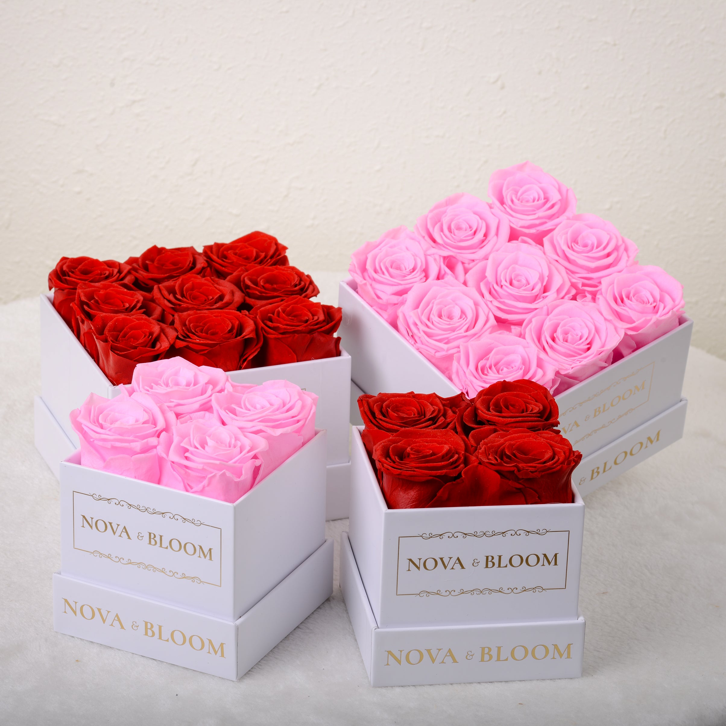 Square Eternal Blooms – Nova & Bloom