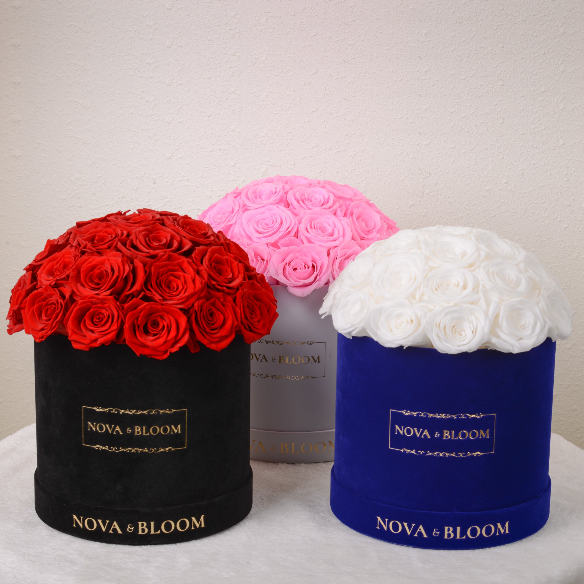 Luxury Velvet Eternal Blooms – Nova & Bloom
